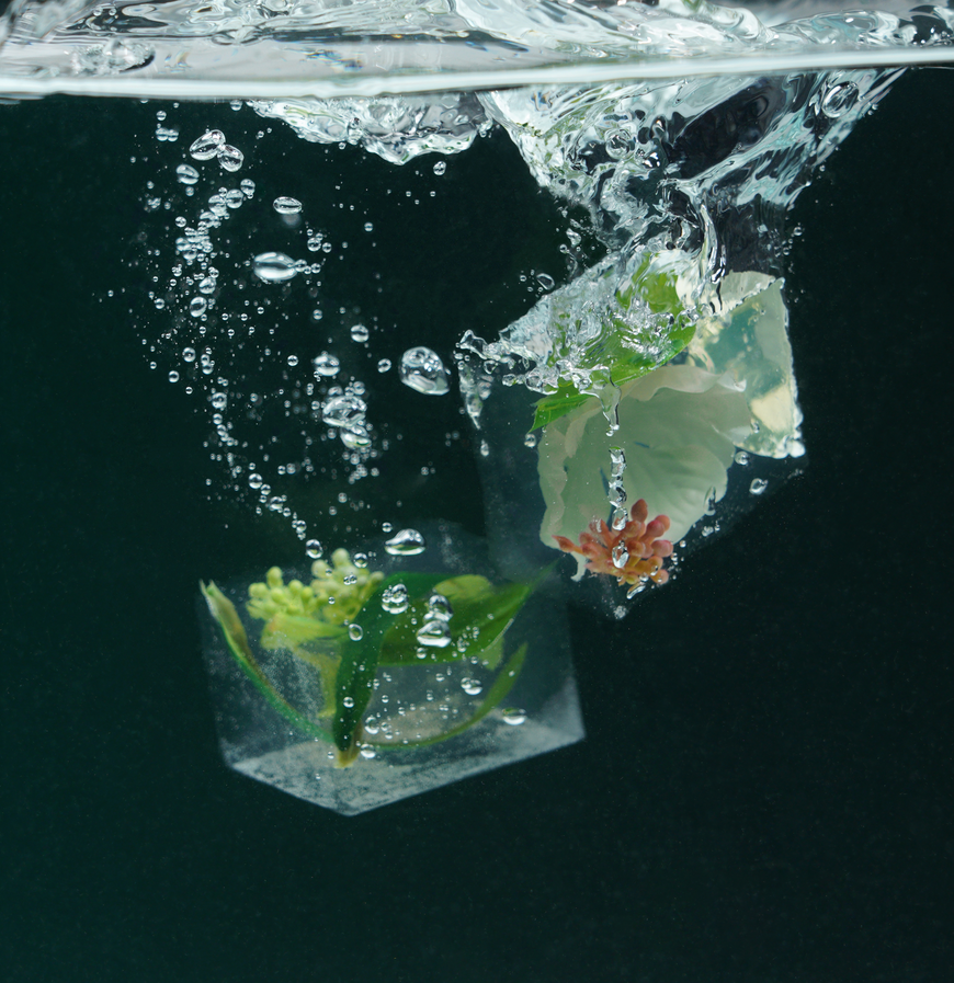 ViveLab : Shampoo, Hair ampoule and Eyelash Serum